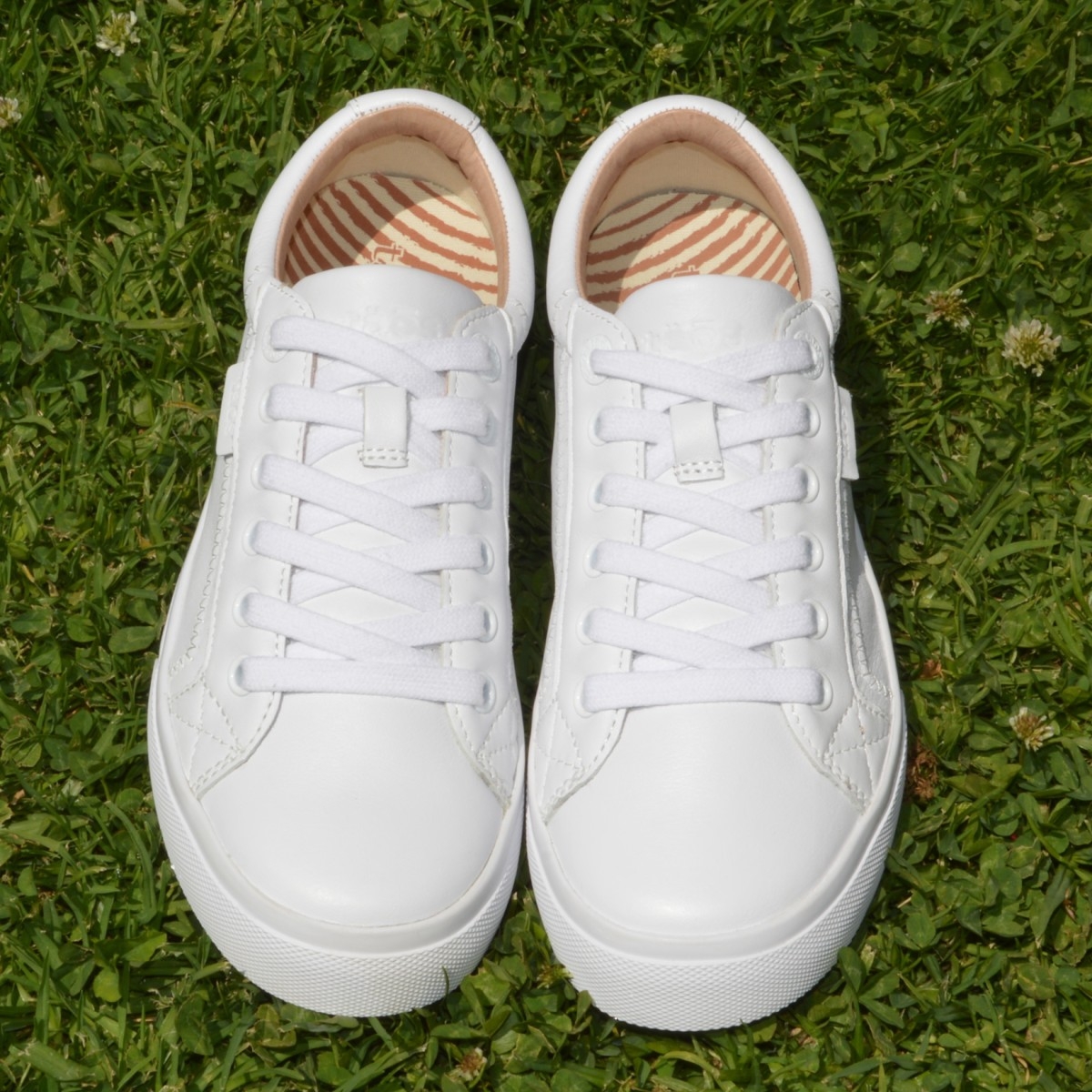 New Arrivals - Walk This Way Shoes